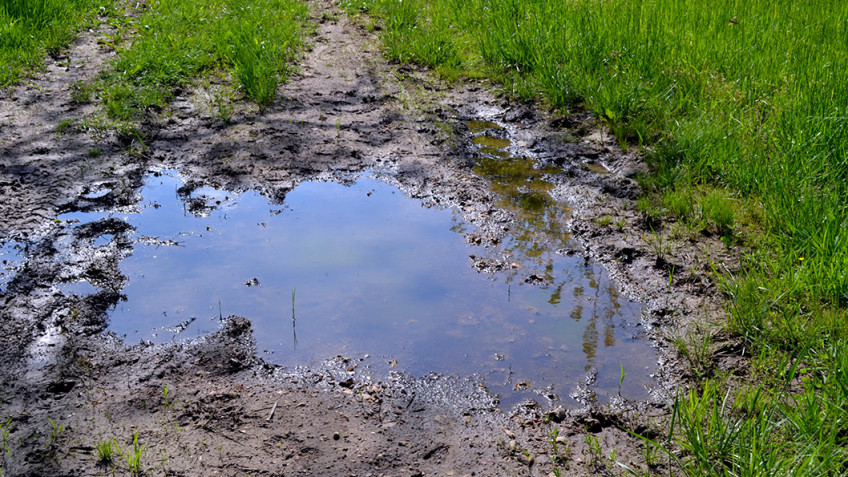 States Get Wins Against Federal Overreach