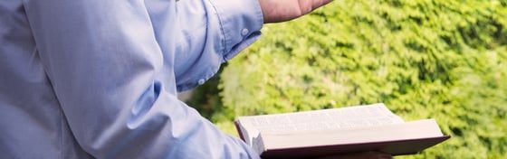 Courthouse Steps Oral Argument Olivier V City Of Brandon