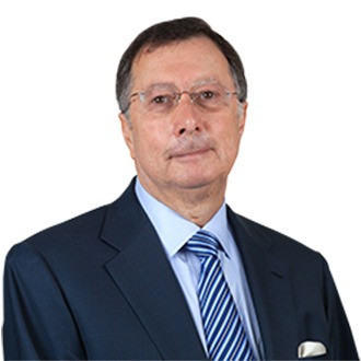 Michael J. Lotito