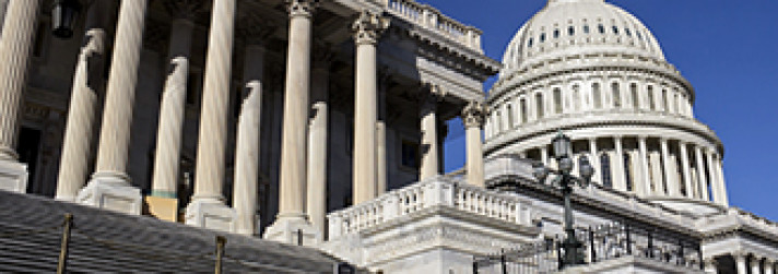 Will the Congressional Review Act Be Revived in 2025?